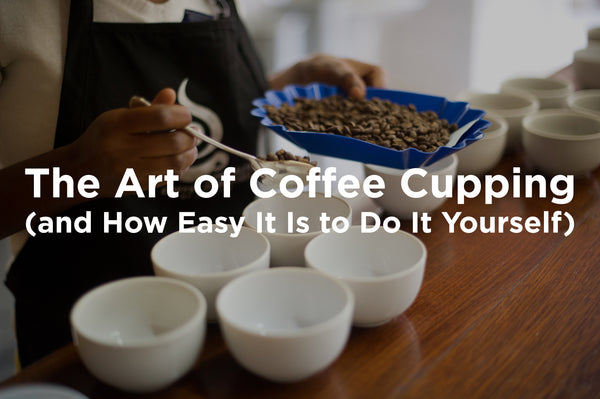 The Art of Coffee Cupping (and How Easy It Is to Do It Yourself) - Land ...